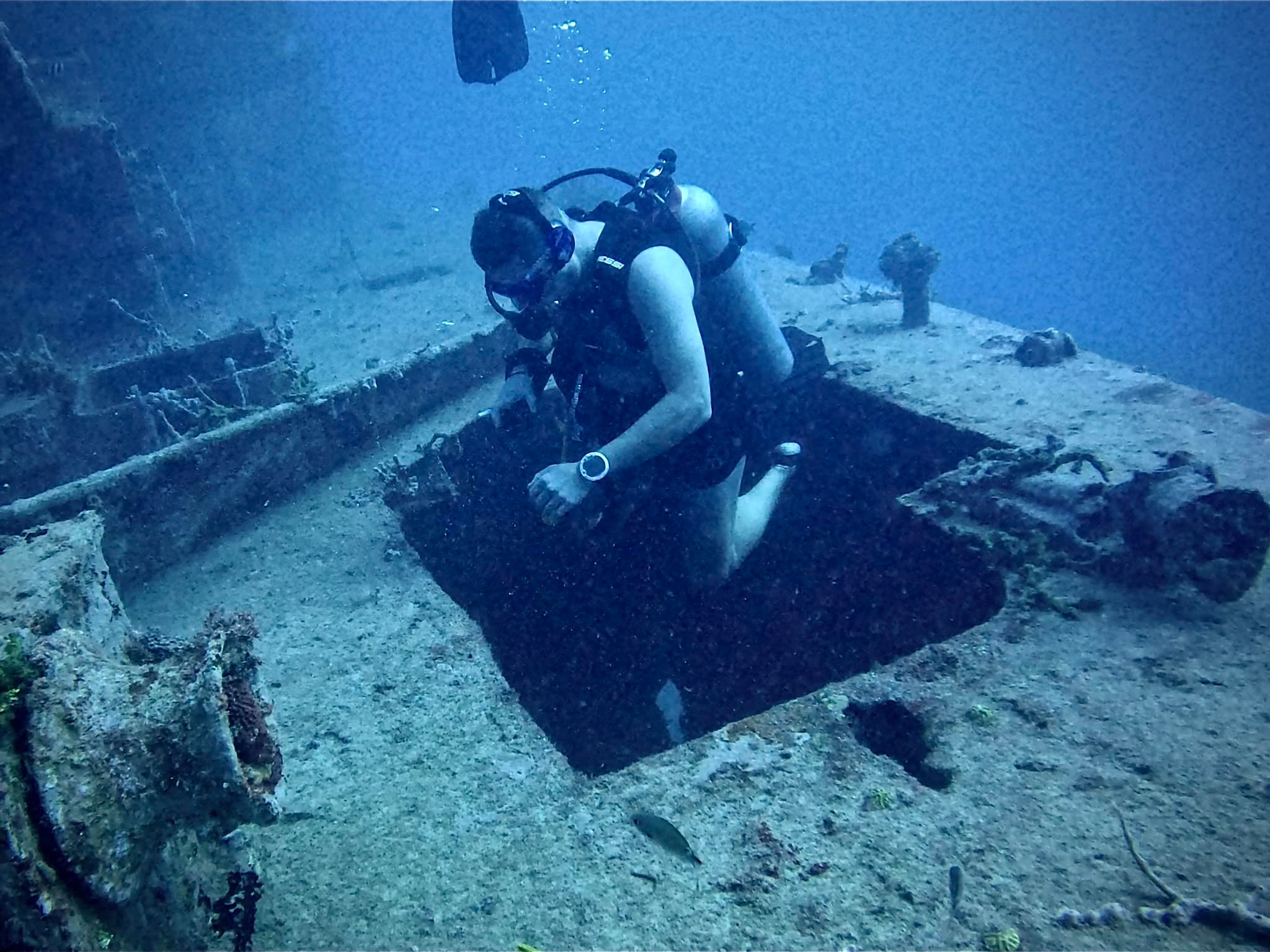 Scuba Diving Barbados – Wrecks, Reefs and Turtles